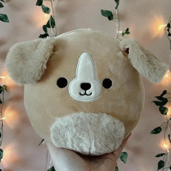 Squishmallows | Toys | Stevon Squishmallow | Poshmark